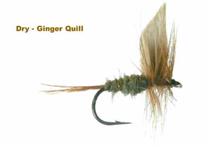 GINGER QUILL