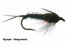 HELGRAMITE NYMPH