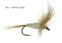 CAHILL LIGHT