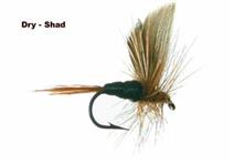 SHAD