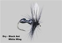 lack Ant White WIng Fly BLACK ANT WHITE WING