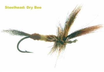 STEELHEAD BEE