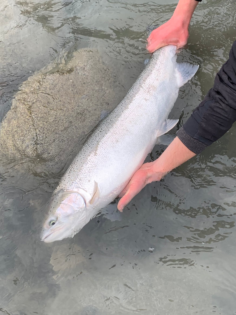 Welcome to Berry's Mega Fishing Store