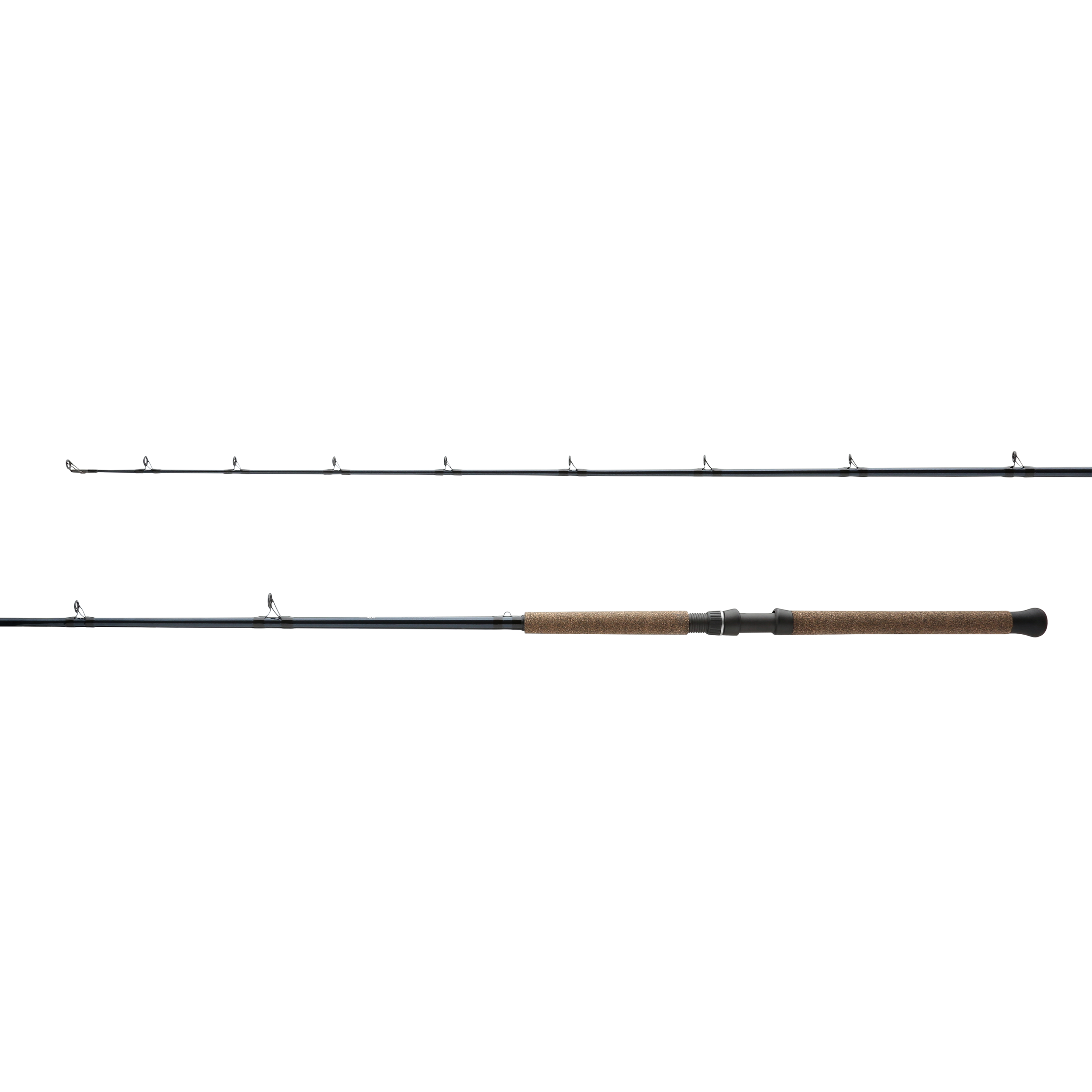 NEW Shimano Technium B Sturgeon Casting Rod